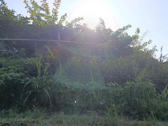 Terreno para Venda em Itanhaém, Palmeiras