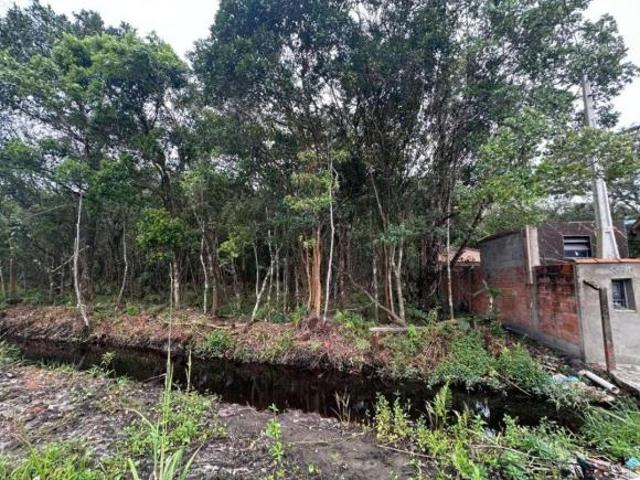 Terreno para Venda em Itanhaém, Paranapuan