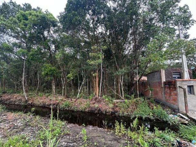 Terreno para Venda em Itanhaém, Paranapuan