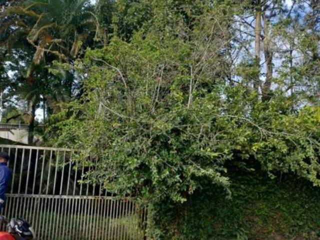 Terreno para Venda em Itanhaém, Parque Novaro