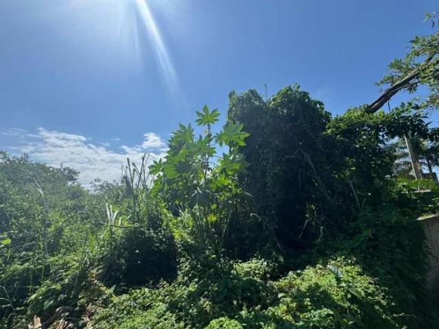 Terreno para Venda em Itanhaém, Parque Augustus