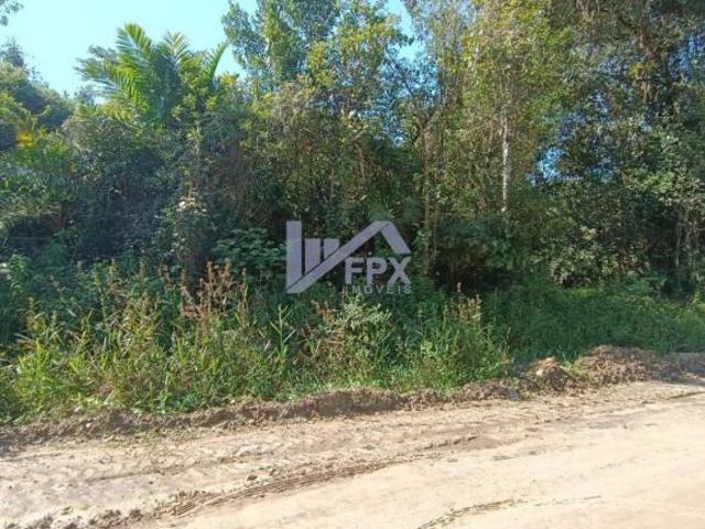 Terreno para Venda em Itanhaém, Parque Alvorada
