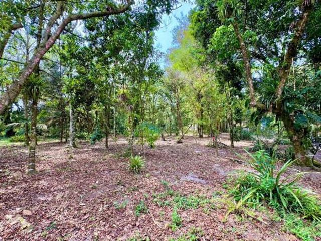 Terreno para Venda em Itanhaém, Parque Real