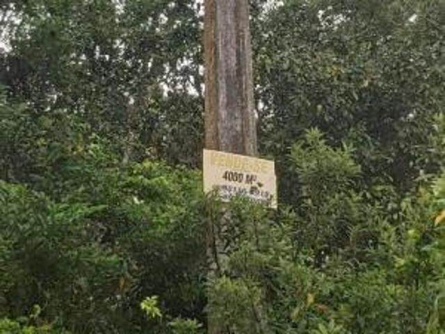 Terreno para Venda em Itanhaém, Parque Real