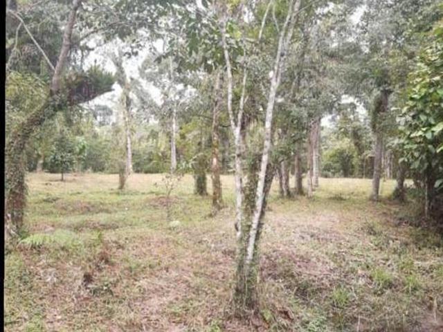 Terreno para Venda em Itanhaém, PARQUE VERGARA
