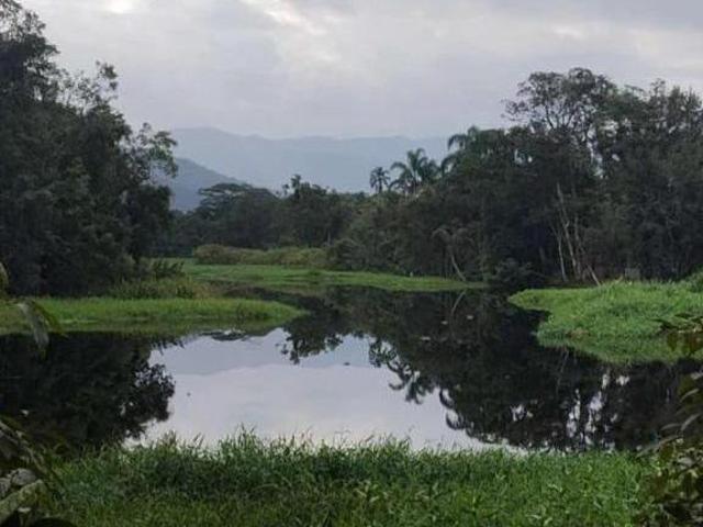 Terreno para Venda em Itanhaém, Parque Vergara