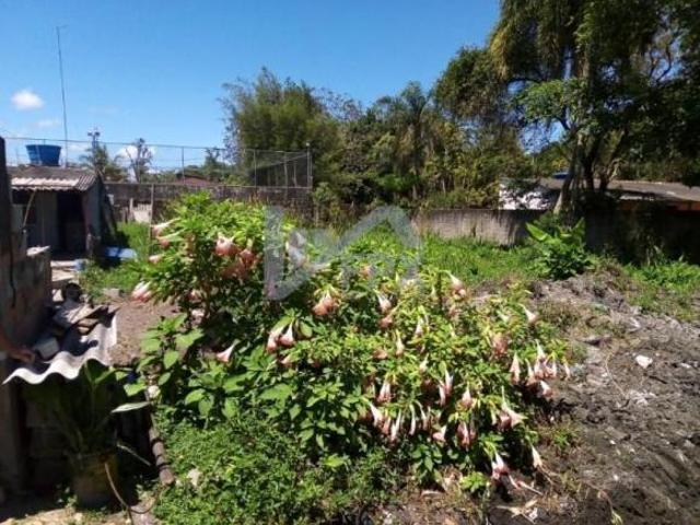 Terreno para Venda em Itanhaém, Recanto dos Imigrantes
