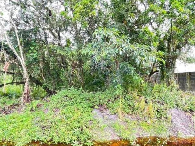 Terreno para Venda em Itanhaém, Recanto dos Imigrantes