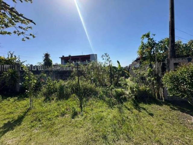 Terreno para Venda em Itanhaém, Regina
