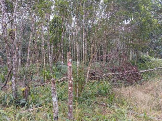 Terreno para Venda em Itanhaém, Rio Preto