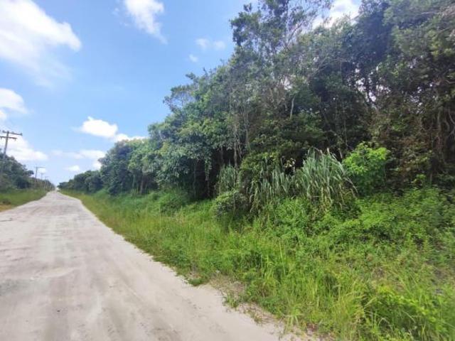 Terreno para Venda em Itanhaém, Tupy