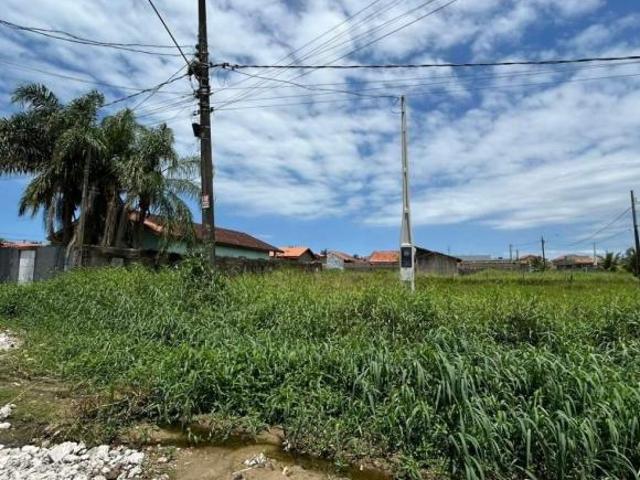 Terreno para Venda em Itanhaém, Tupy