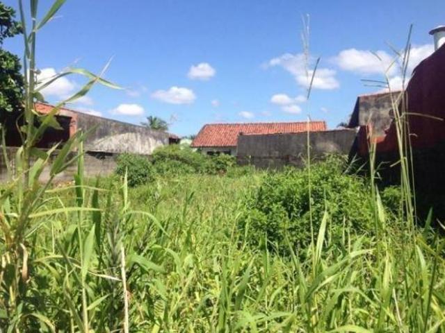 Terreno para Venda em Itanhaém, Tupy