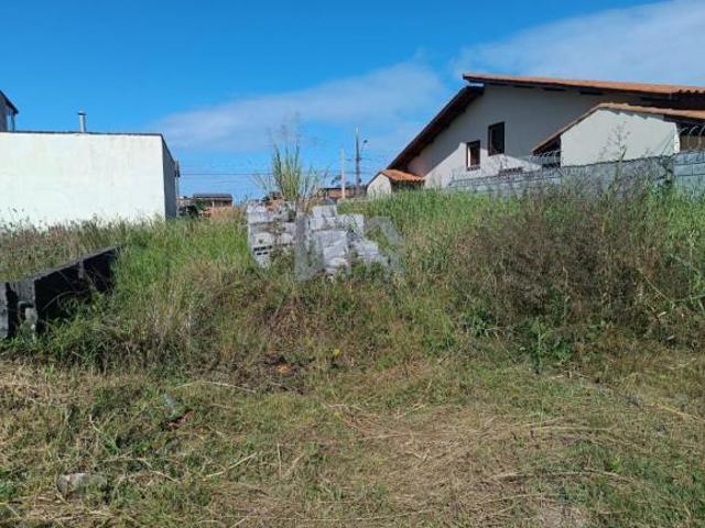Terreno para Venda em Itanhaém, Tupy