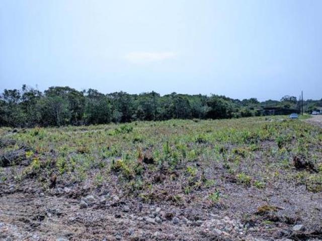 Terreno para Venda em Itanhaém, Tupy