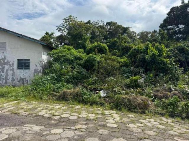 Terreno para Venda em Itanhaém, Verde Mar