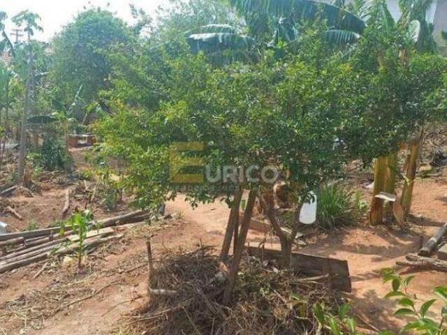Terreno para venda em JARDIM MARIA ROSA de 600.00m²