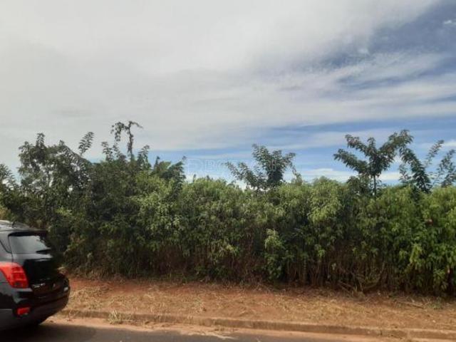 Terreno para venda em Jardim Marialice de 1140.00m²