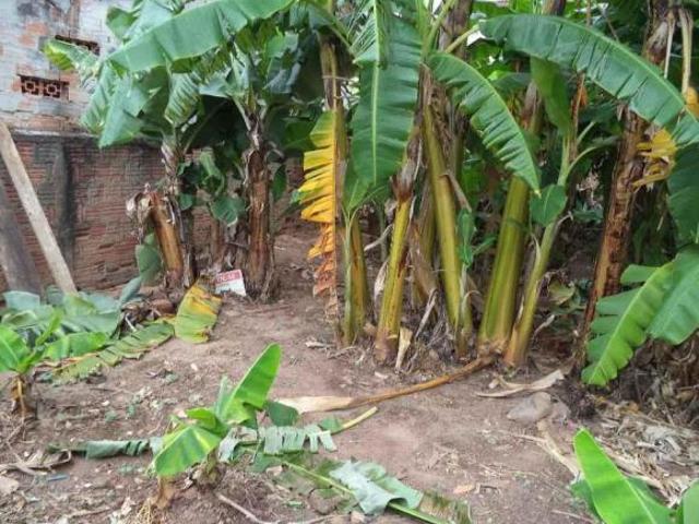 Terreno para venda em Jardim Bela Vista de 320.00m²
