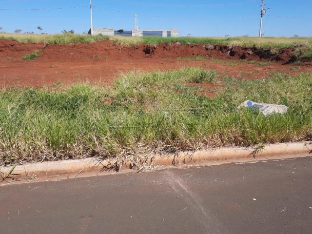 Terreno para venda em Jardim Botafogo 1 em São Carlos São Paulo de 250.00m²