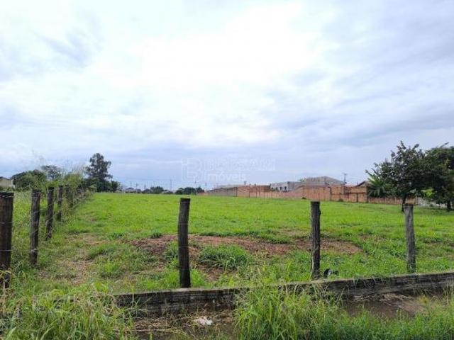 Terreno para venda em Jardim Brasil vila Xavier de 9687.00m²