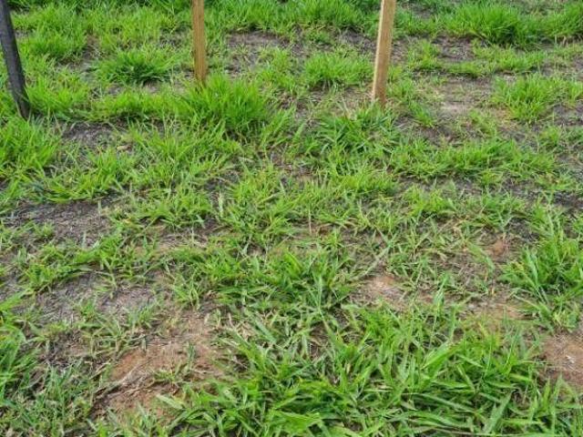 Terreno para venda em Jardim Casablanca de 150.00m²