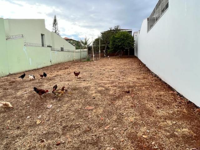 Terreno para venda em Jardim Cardinalli em São Carlos São Paulo de 420.00m²