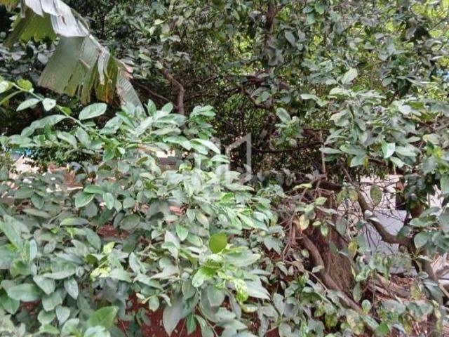 Terreno para venda em Jardim Do Carmo de 1057.00m²