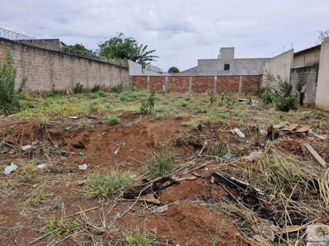 Terreno para venda em Jardim Dom Bosco, Aparecida de Goiânia