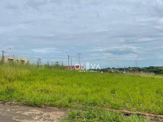Terreno para venda em Jardim Dos Ipês de 220.00m²
