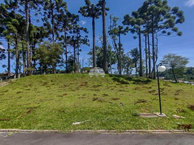 Terreno para venda em Jardim João Paulo Ii de 368.00m²
