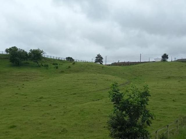 Terreno para venda em Jardim Josane de 67000.00m²
