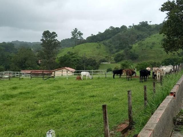Terreno para venda em Jardim Josane em Sorocaba São Paulo de 67000.00m²
