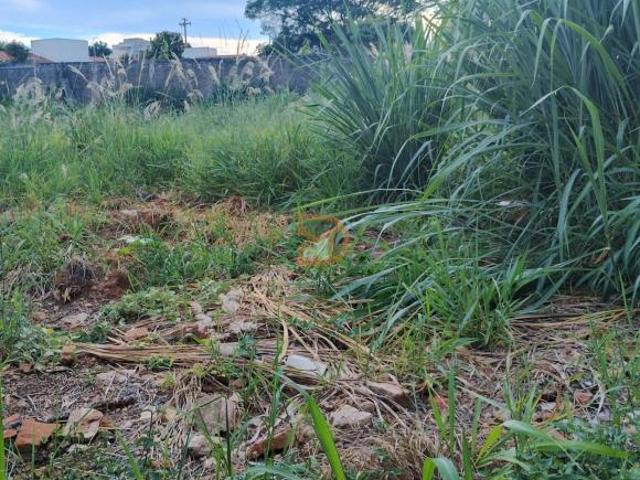 Terreno para venda em Jardim Longatto de 420.00m²