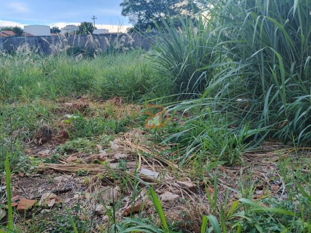 Terreno para venda em Jardim Longatto em Mogi Mirim São Paulo de 420.00m²