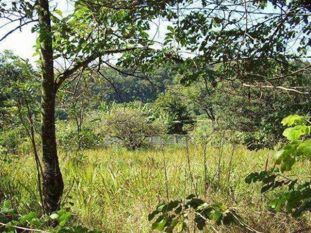 Terreno para venda em Jardim Parnaíba de 23000.00m²