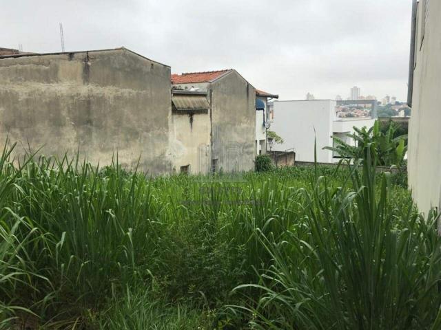 Terreno para venda em Jardim Paraíso em Campinas São Paulo de 352.00m²