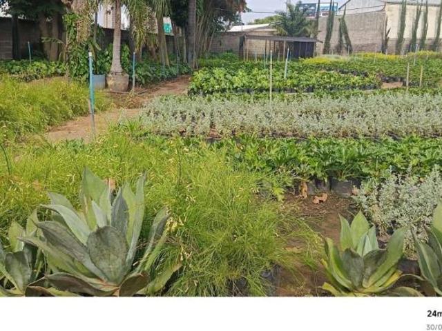 Terreno para venda em Jardim Planalto de 100.00m²