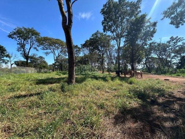 Terreno para venda em Jardim Residencial Iedda de 40869.00m²