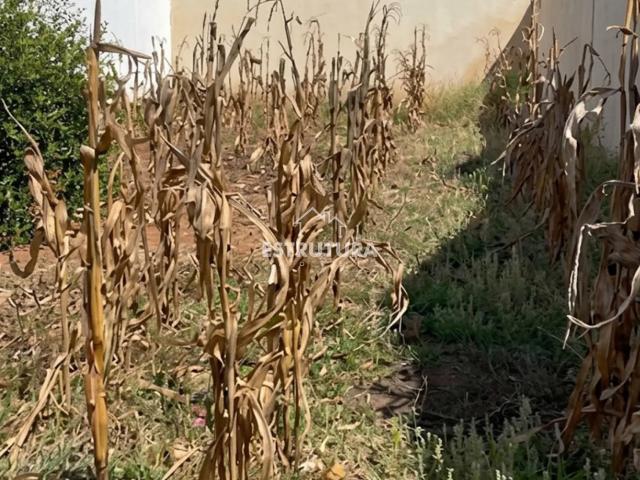 Terreno para venda em Jardim São Paulo em Rio Claro São Paulo de 300.00m²