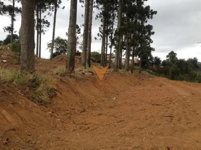Terreno para venda em Jardim Sandra de 10.00m²