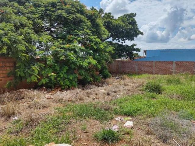 Terreno para venda em Jardim Santa Mônica aparecida De São Manuel de 128.00m²