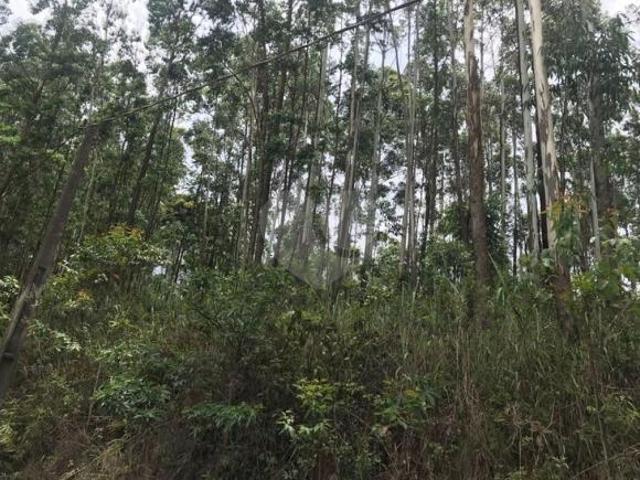 Terreno para venda em Jardim Santa Gertrudes de 21200.00m²