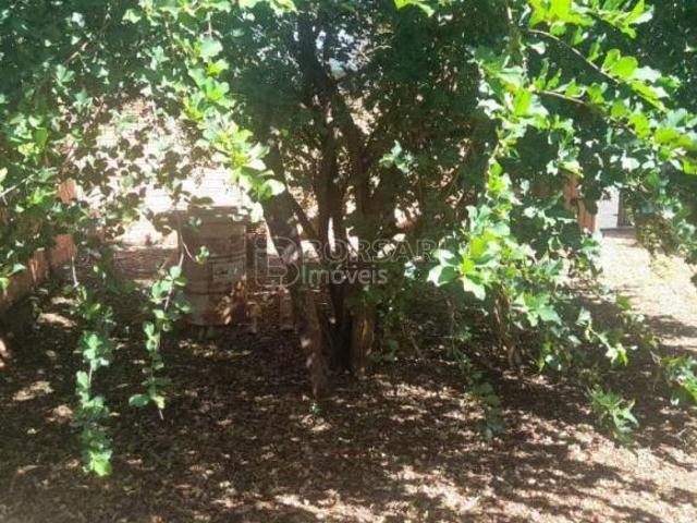 Terreno para venda em Jardim Santa Rosa de 299.00m²