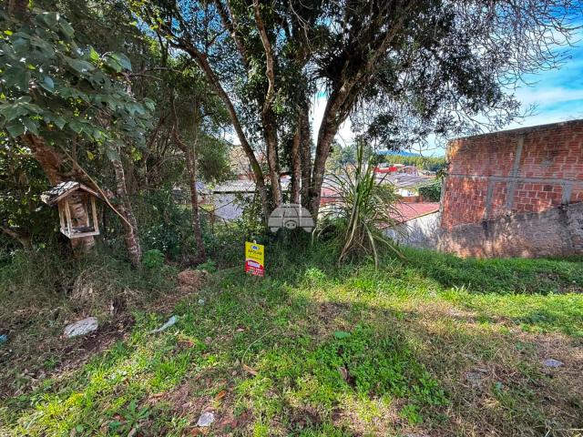 Terreno para venda em Jardim Santa Rosa em Campina Grande Do Sul Paraná de 360.00m²
