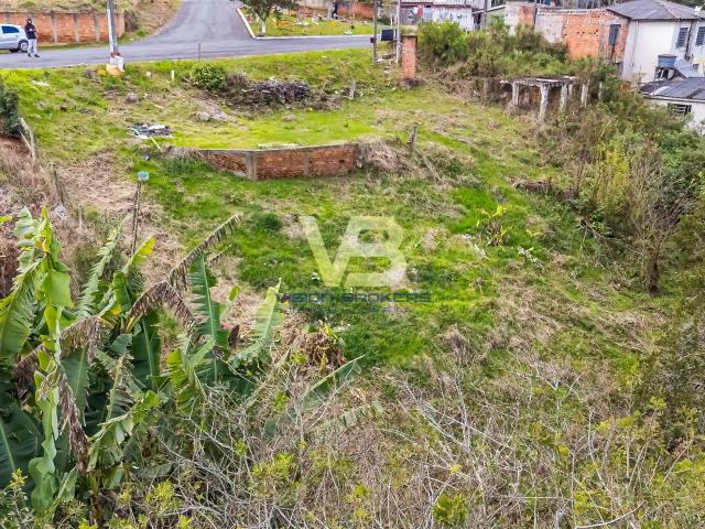 Terreno para venda em Jardim Tropical em Campo Largo Paraná de 10.00m²