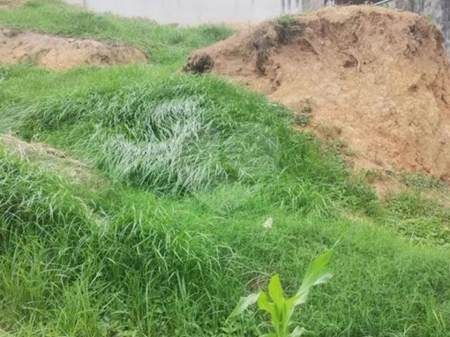 Terreno para venda em Jardim Vera Regina de 250.00m²
