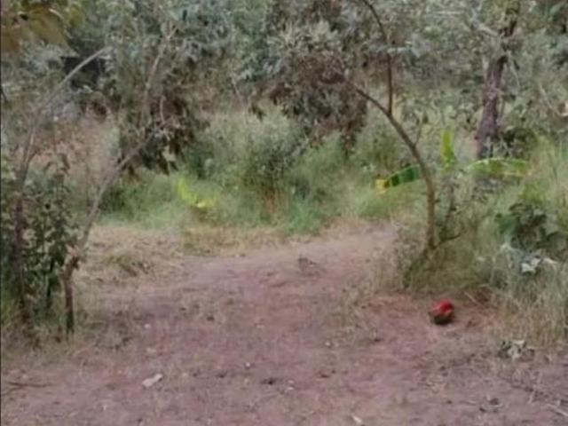 Terreno para Venda em Jarinu, Área Rural de Jarinu