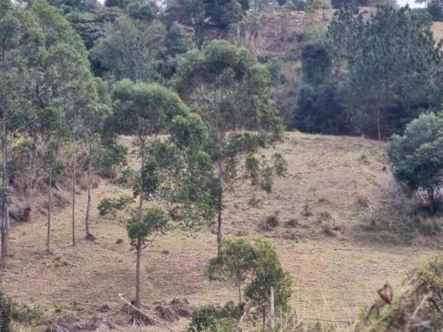 Terreno para Venda em Jarinu, Zona Rural