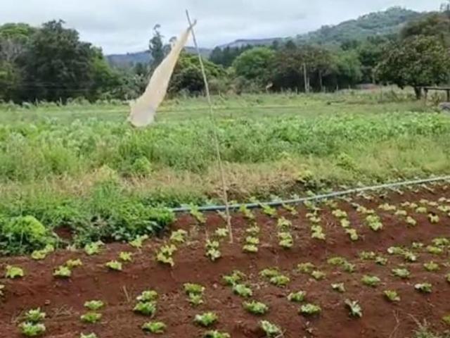 Terreno para Venda em Jundiaí, Caxambu